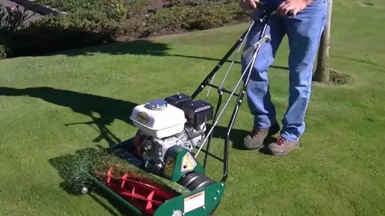Best Powered Reel Mower: Detailed Guide On How To Buy The Right One ...