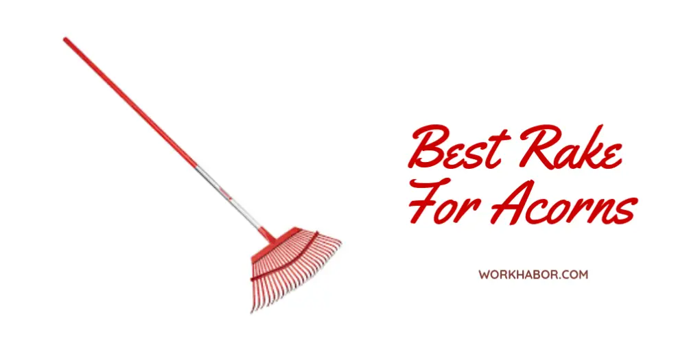Best Rake For Acorns