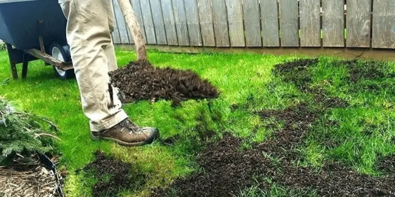 Expert Tips On How To Level A Lawn By Hand