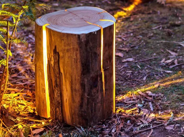 Wondering What to Do With Tree Stump In Front Yard? 11 Amazing Ideas to ...