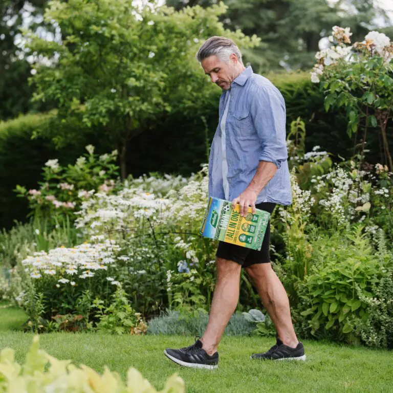 6 Ways On How To Clean Acorns From Your Yard